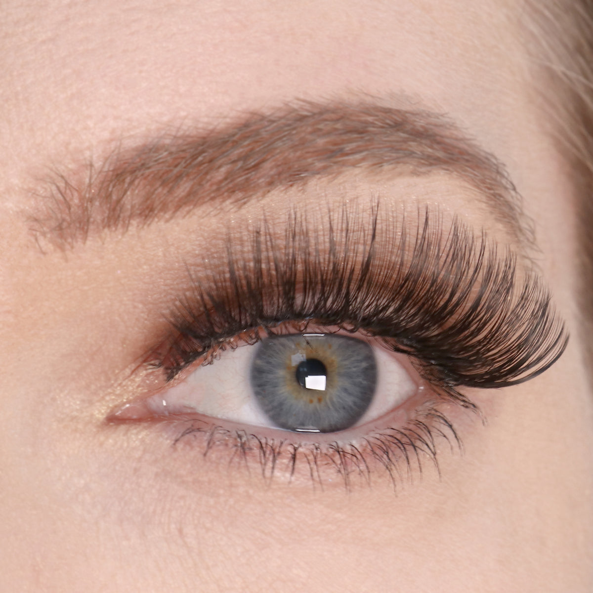 False Lashes – xoBeauty