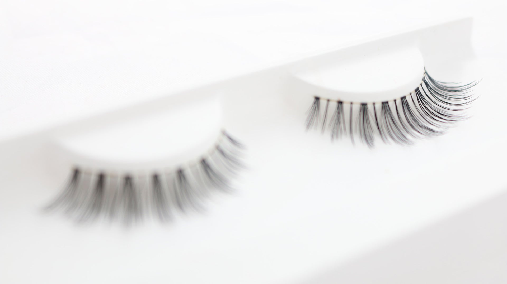 "The Heiress" False Lashes | xoBeauty By Shaaanxo