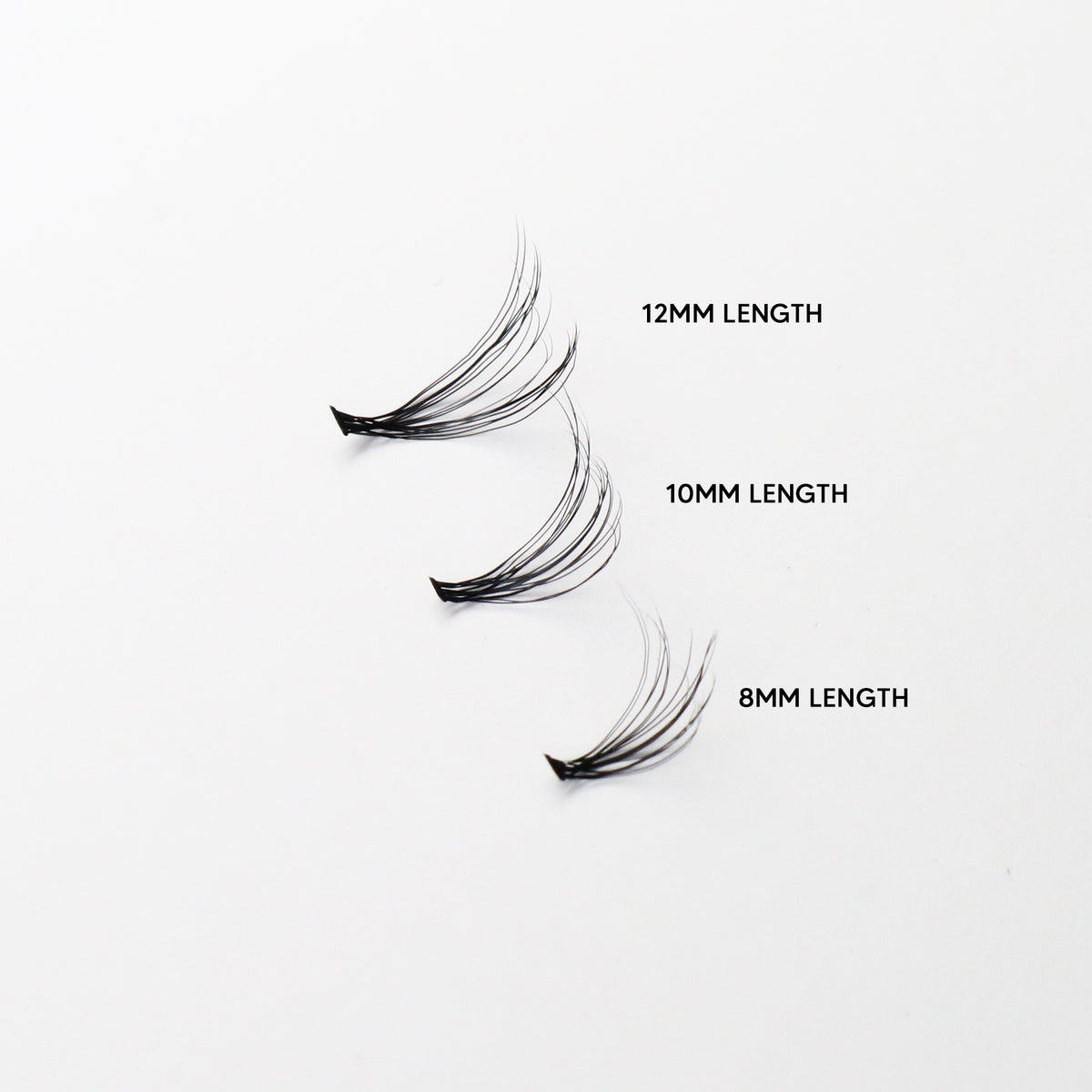 False Lashes – xoBeauty